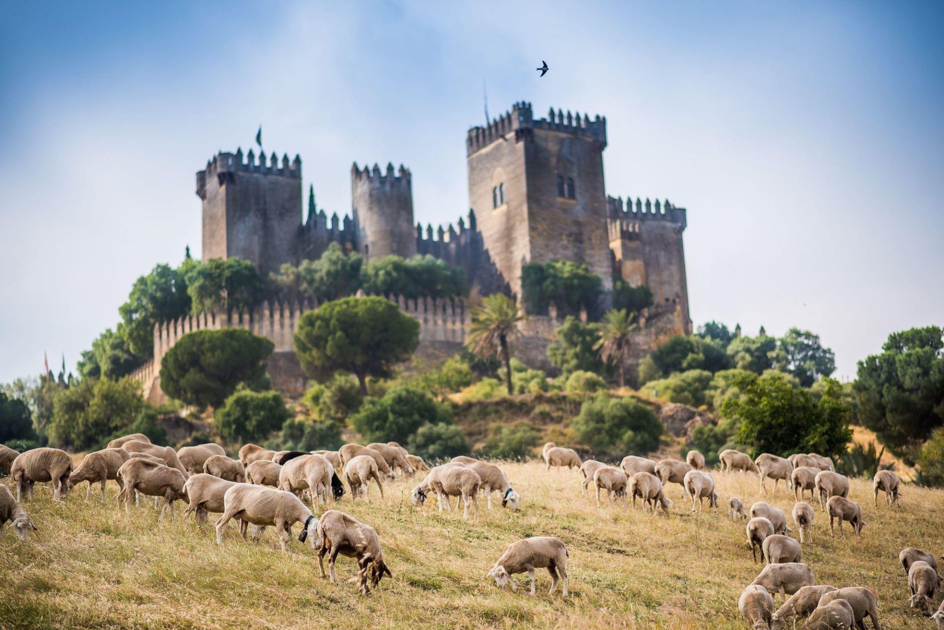 Top 12 Most Impressive Castles in Spain | Just Explore